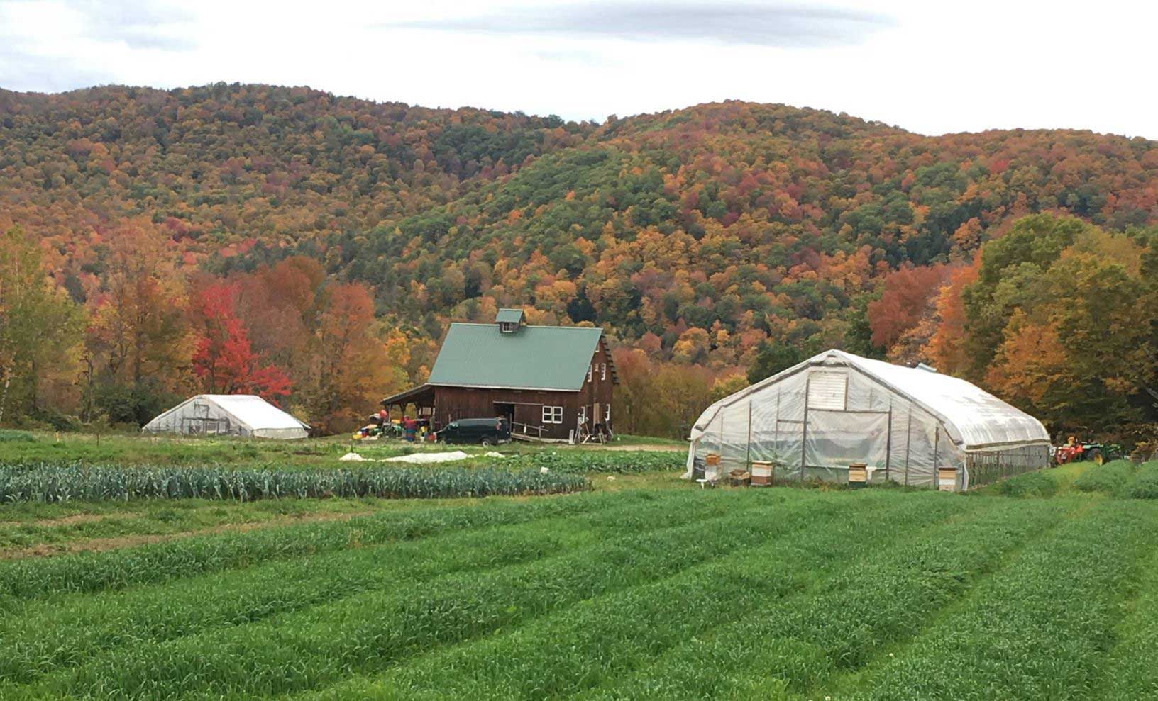When Your First Grandchild Is a Farm - Blog - The Quilted Jardin